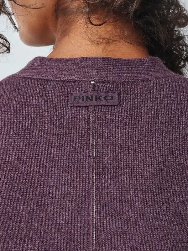 Pinko V-neck Wool And Cashmere Blend Cardigan With Button Closure - Plum