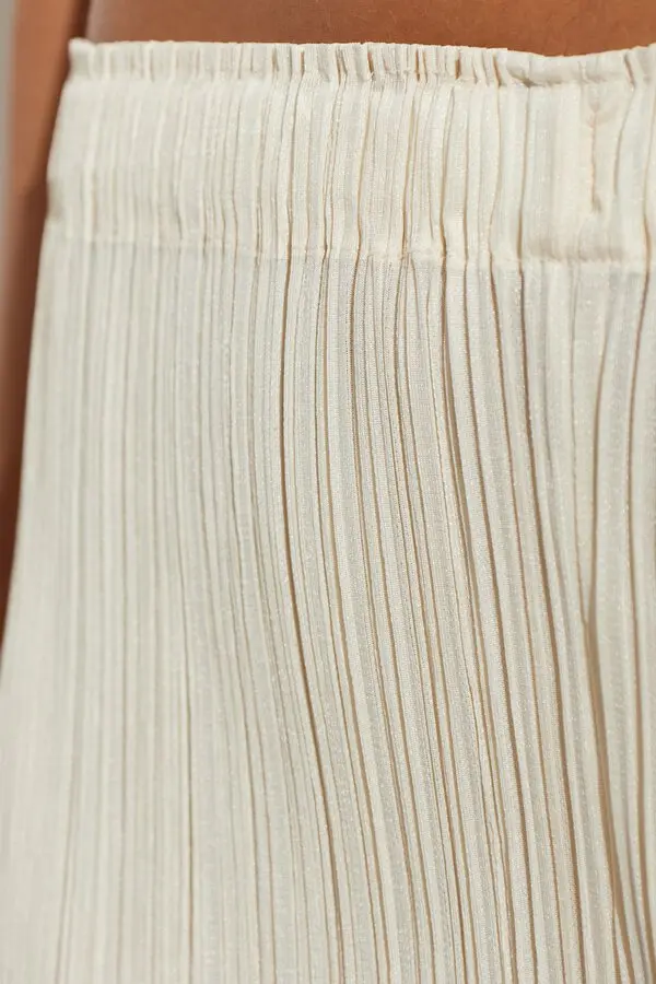 Issey Miyake Pleated Trousers