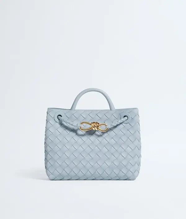 Bottega Veneta Small Andiamo - Glacial
