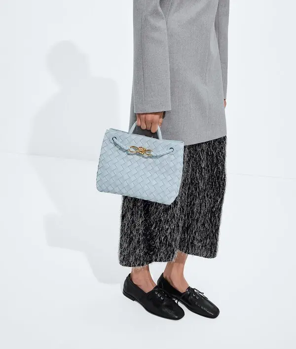 Bottega Veneta Small Andiamo - Glacial