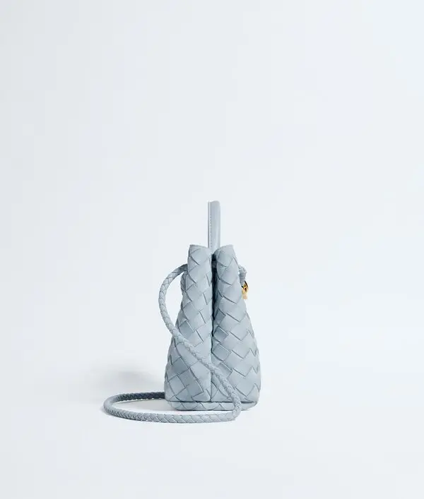 Bottega Veneta Small Andiamo - Glacial