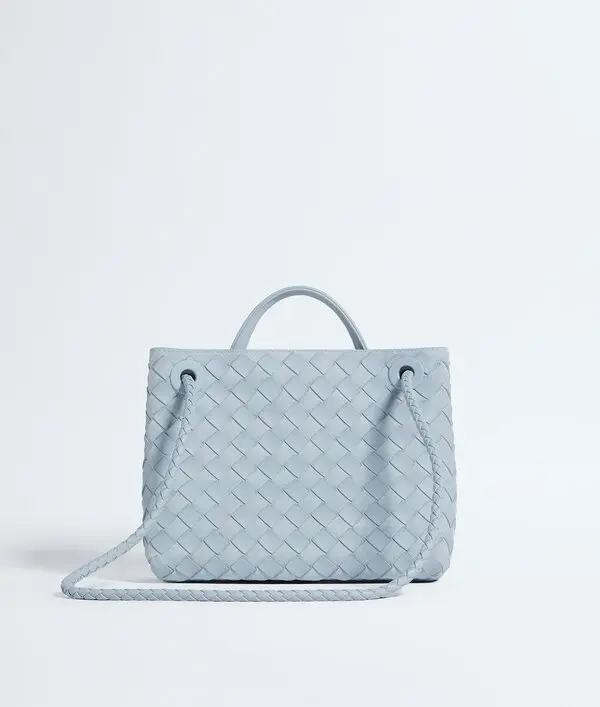 Bottega Veneta Small Andiamo - Glacial