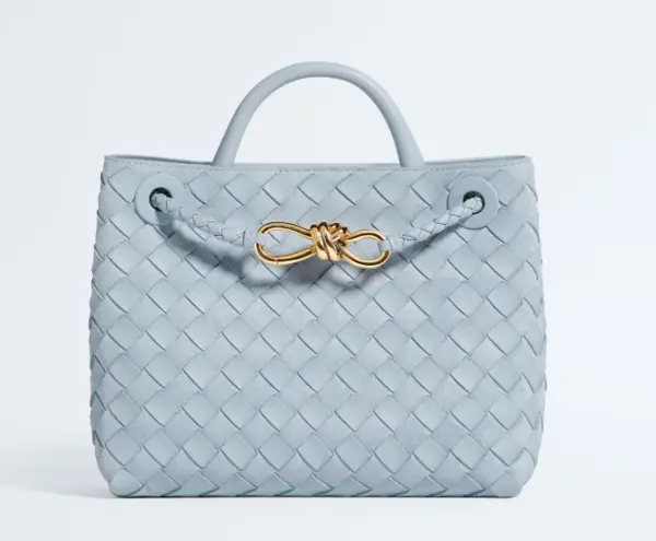 Bottega Veneta Small Andiamo - Glacial