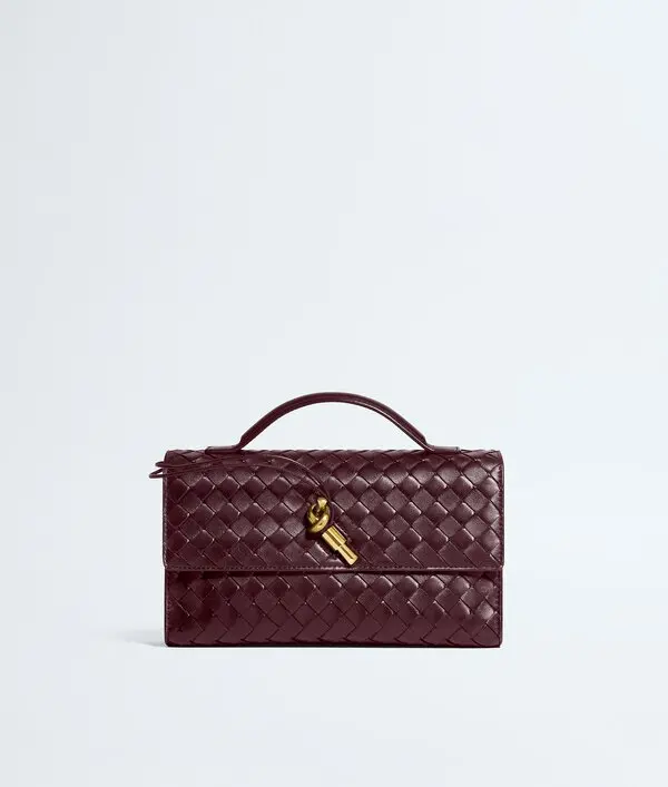 Bottega Veneta Andiamo Clutch 25