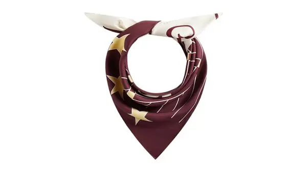 Kith Printed Silk Scarf - Magma