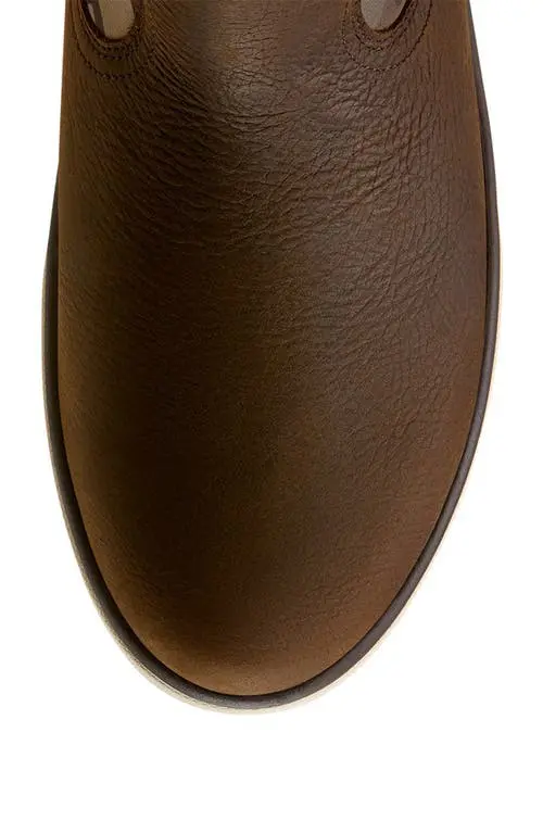 Ariat Saylor Shrimp Waterproof Boot - Dark Brown