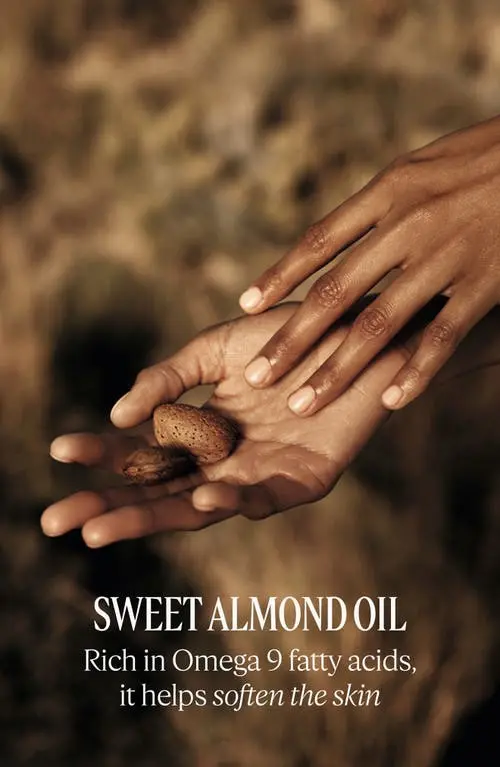 L'OCCITANE Almond Ornament Set