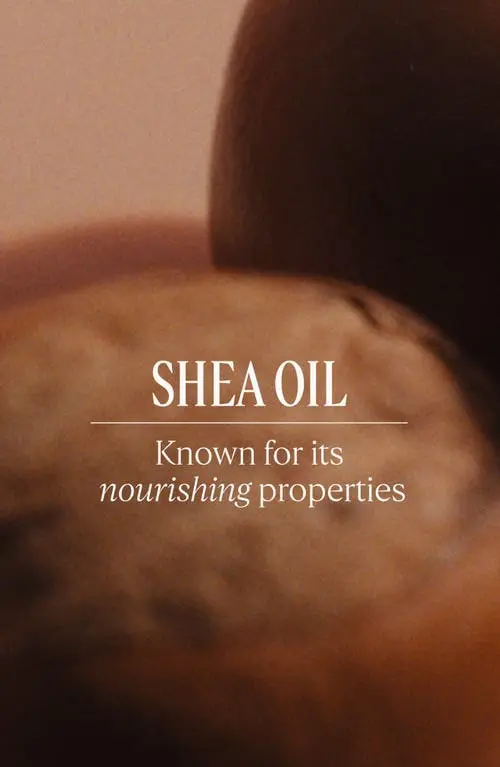 L'OCCITANE Shea Butter Ornament $25 Value