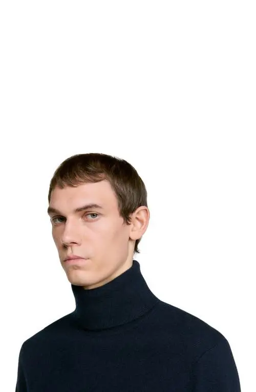 Sandro Roll Neck Cashmere Sweater