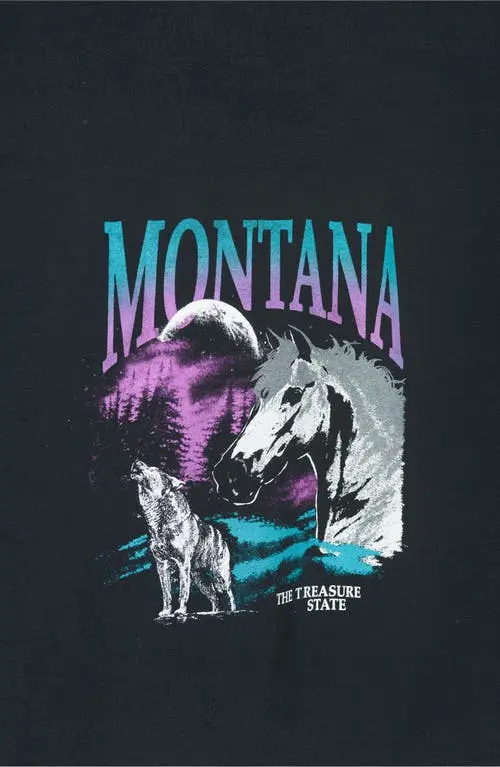 Junk Food Montana Graphic T-shirt