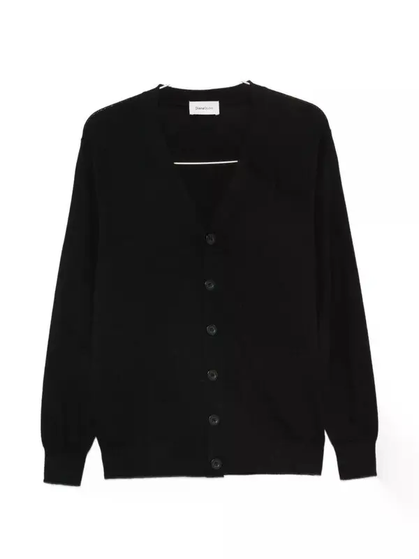 DIANA STUDIO V-neck Cardigan