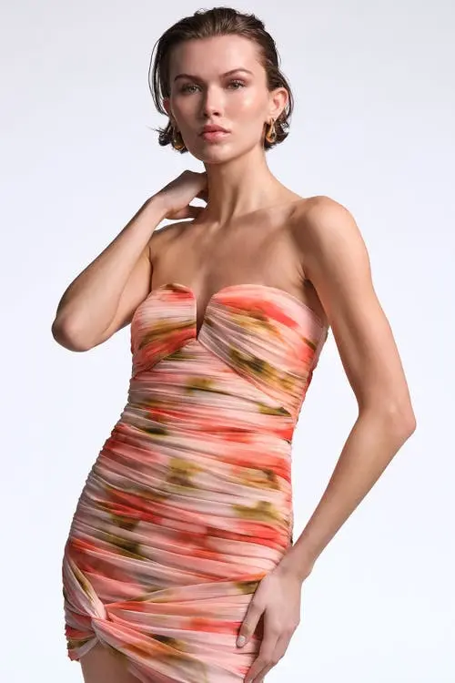 Bcbgmaxazria Maxazria Elia Dress