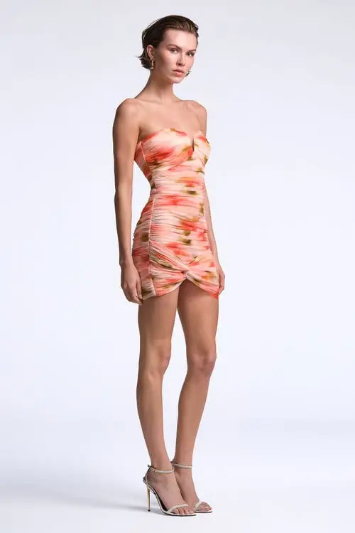 Bcbgmaxazria Maxazria Elia Dress