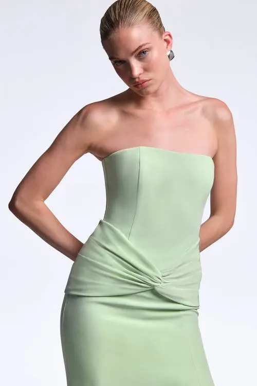 Bcbgmaxazria Maxazria Sylvia Gown