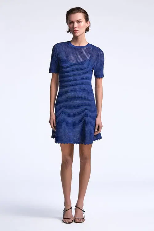 Bcbgmaxazria Maisie Knit Mini Dress With Short Sleeves And Fit-and-flare Silhouette