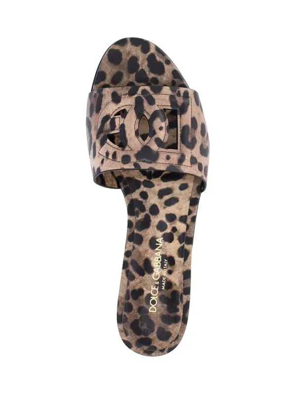 Dolce & Gabbana Leopard Print Logo Slides - Multi