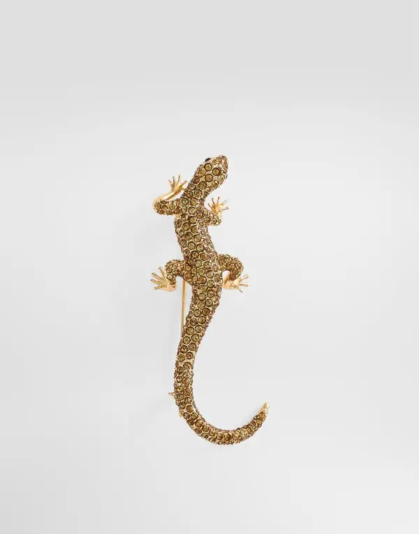 Dolce & Gabbana Lizard Brooch - Orange