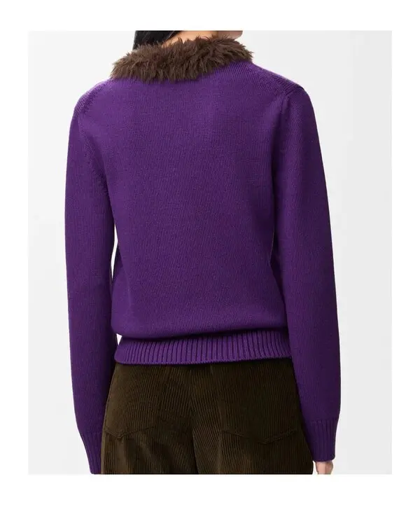 Loewe Sweater In Wool