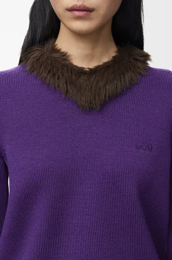 Loewe Sweater In Wool