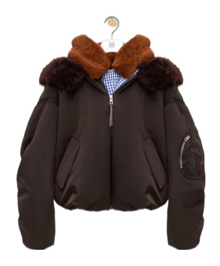 Loewe Bomber Jacket In Technical Shell - Brown