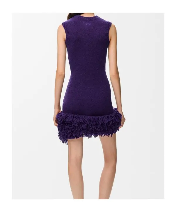 Loewe Sleeveless Wool Blend Dress With Fur Trim - Purple