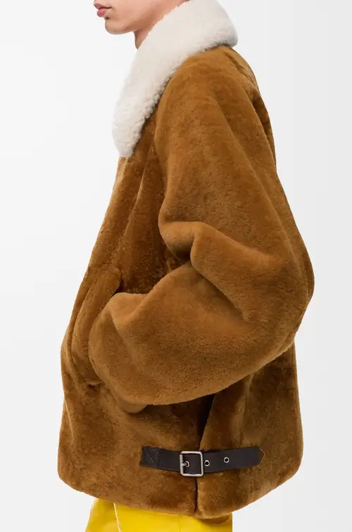 Loewe Jacket In Shearling