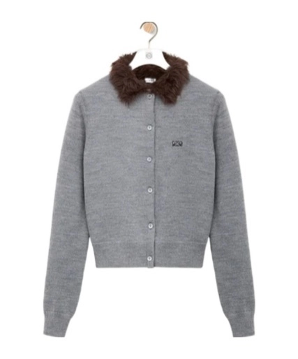 Loewe Cardigan In Wool