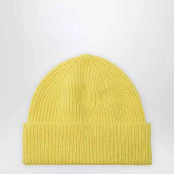 LE BONNET Beanie In Wool And Caregora In Acid