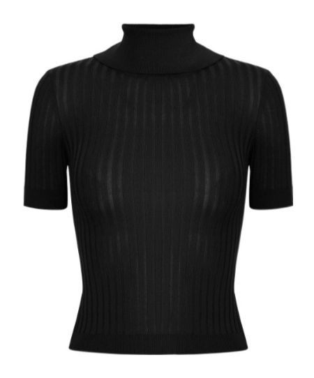 Elisabetta Franchi Ribbed Polo Knit Top