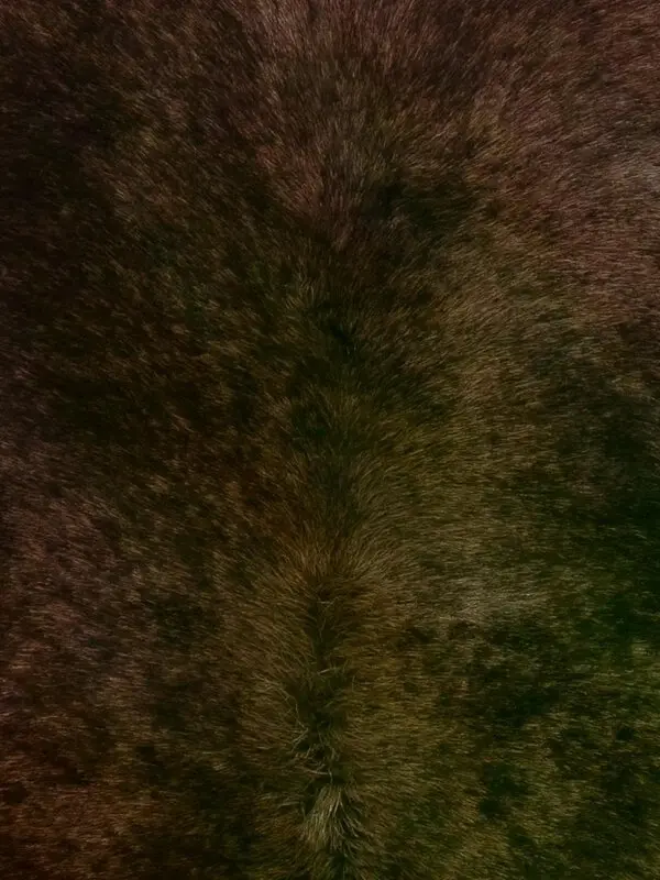 FURLING BY GIANI Shearling Stole