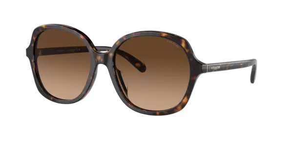 COACH Tortoiseshell Sunglasses - Brown Gradient