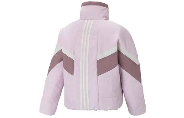 Adidas Neo Down Jackets