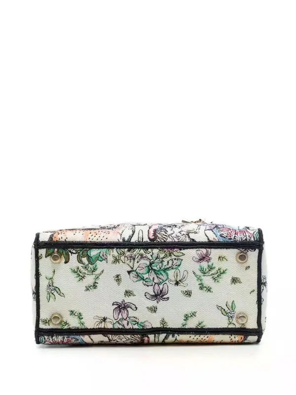 Dior 2022 Medium Embroidered Canvas D Constellation Lady D Lite Satchel