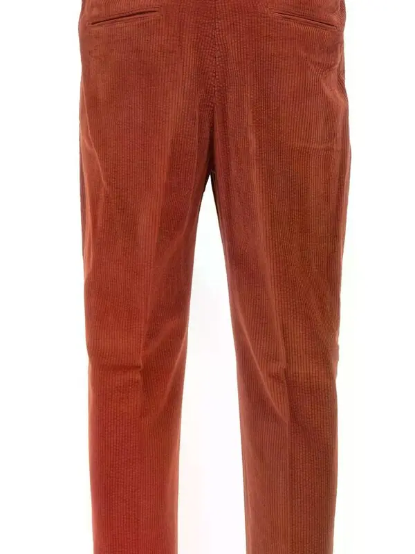 DEVORE INCIPIT Ribbed Pleated Trousers