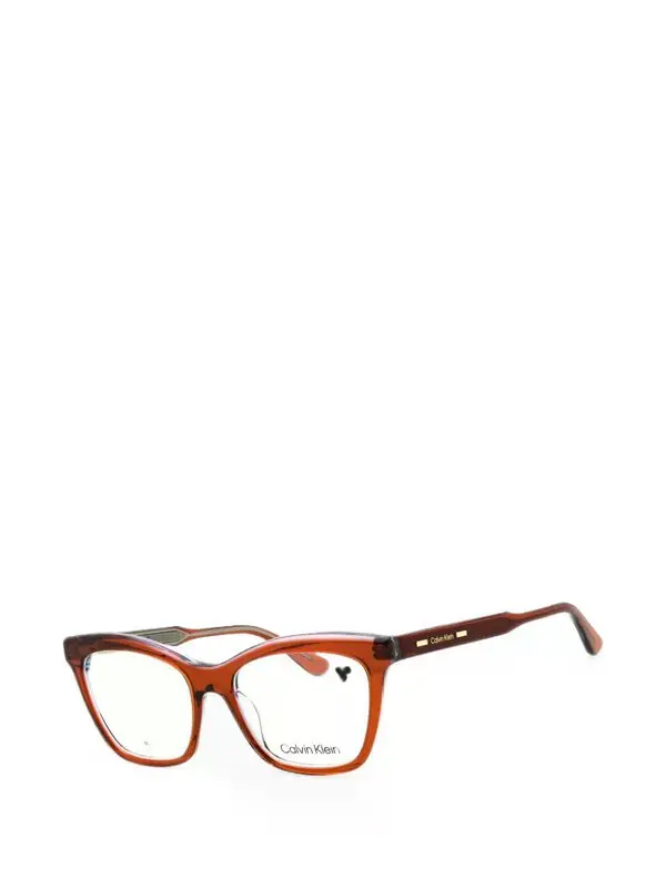 Calvin Klein Cat-eye Glasses