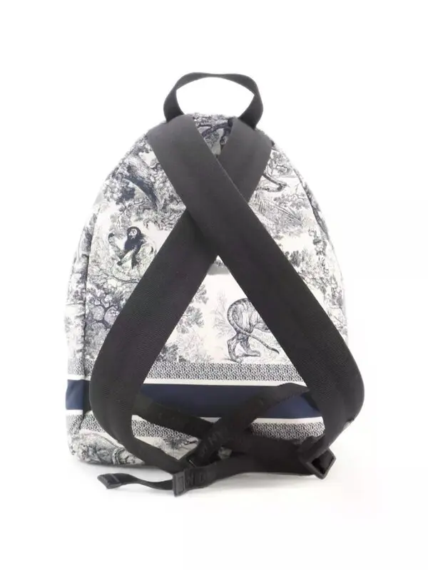 Dior Toile De Jouy Travel Technical Fabric Small Backpack