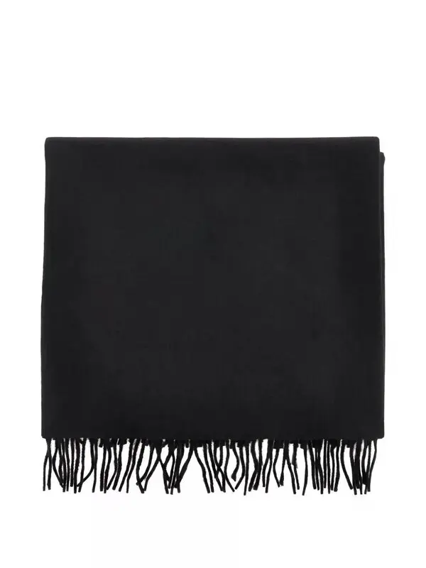 Max Mara Fringed Cashmere Scarf