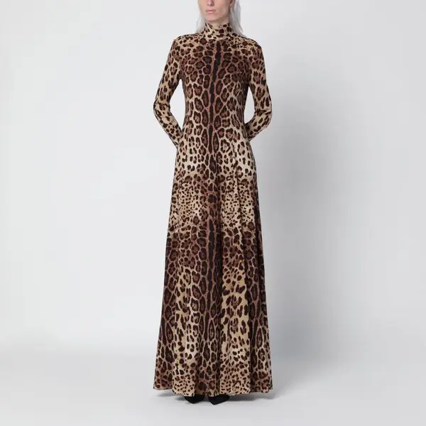 Dolce & Gabbana Long Leopard-print Dress In Silk Blend