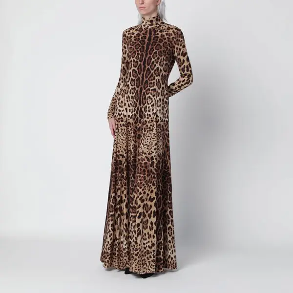 Dolce & Gabbana Long Leopard-print Dress In Silk Blend