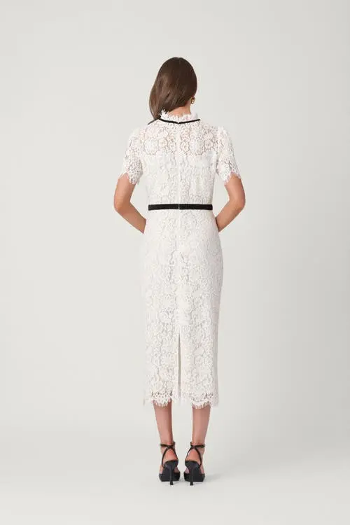 Shoshanna Velvet Corded Lace Elyse Dress