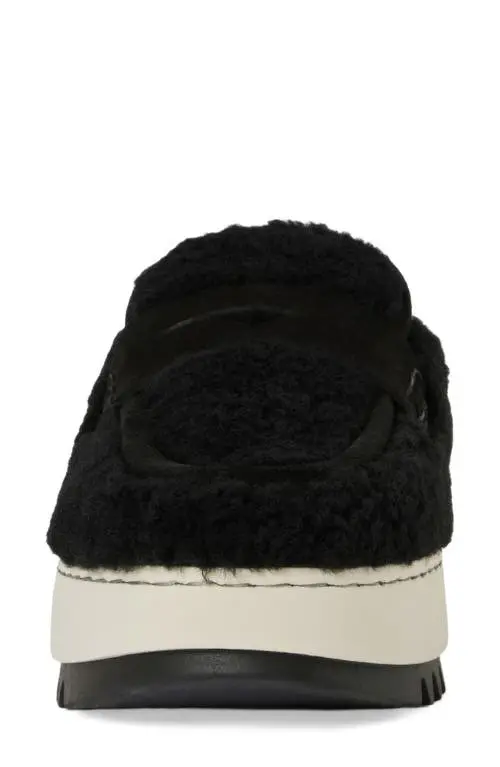 Aquatalia Amata Genuine Shearling Mule - Black/shearling
