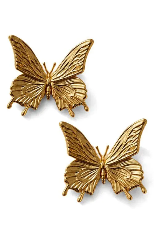 IMBER Butterfly Stud Earrings - Gold