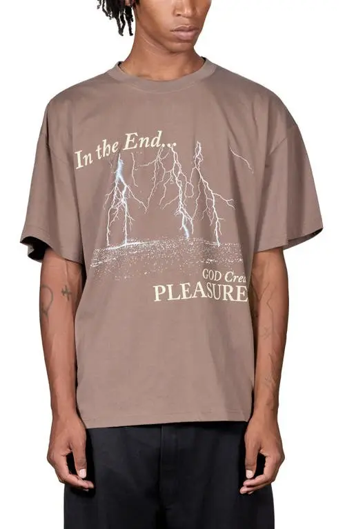 PLEASURES End Times Graphic T-shirt - Mocha