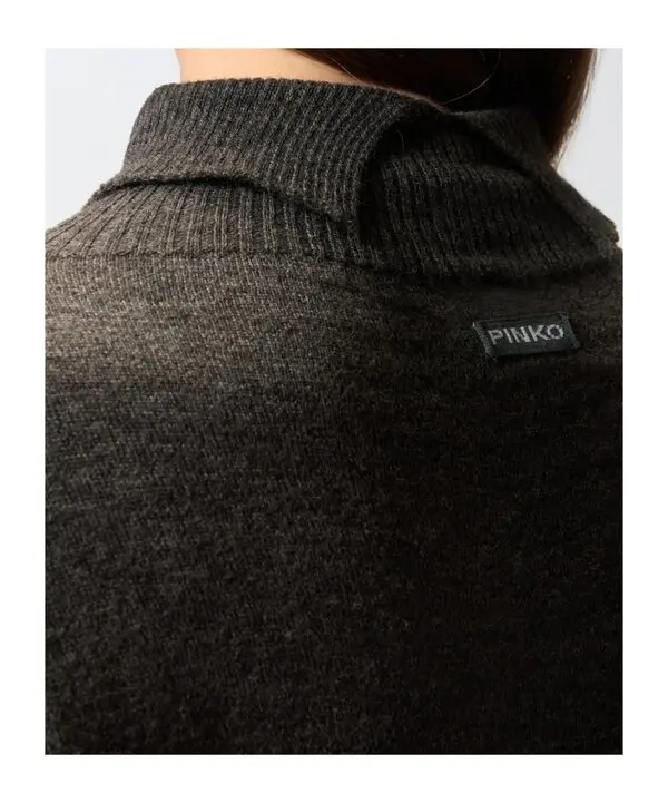Pinko Roll-neck Sweater