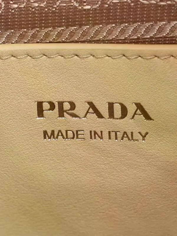 Prada 2013-2026 Leather Darling Satchel