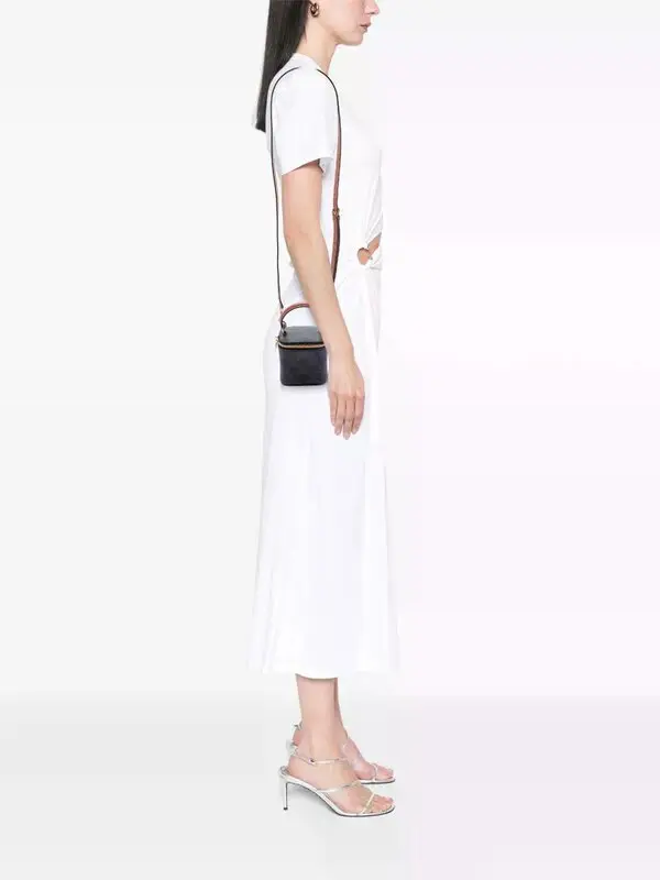 Celine 2022 Mini Triomphe Coated Canvas Vanity Case Satchel