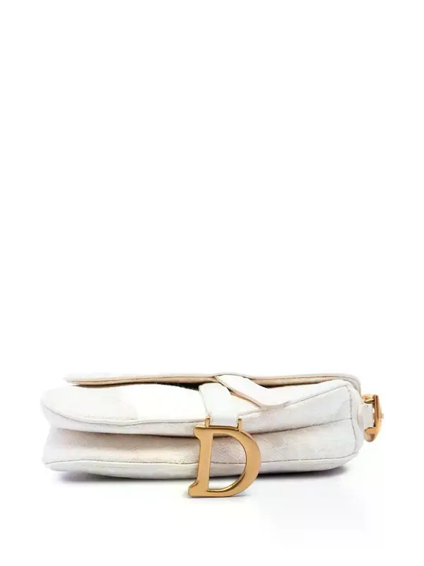 Dior 2020 Mini Oblique Embroidered Canvas Saddle Bag Satchel