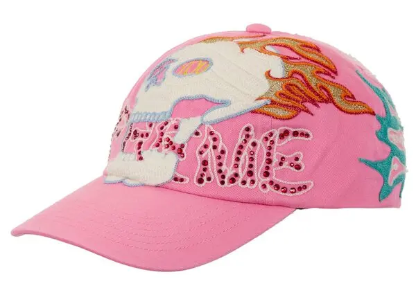 Supreme Wfst 6panel - Pink
