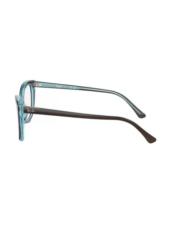 Ray-ban Cat-eye Glasses