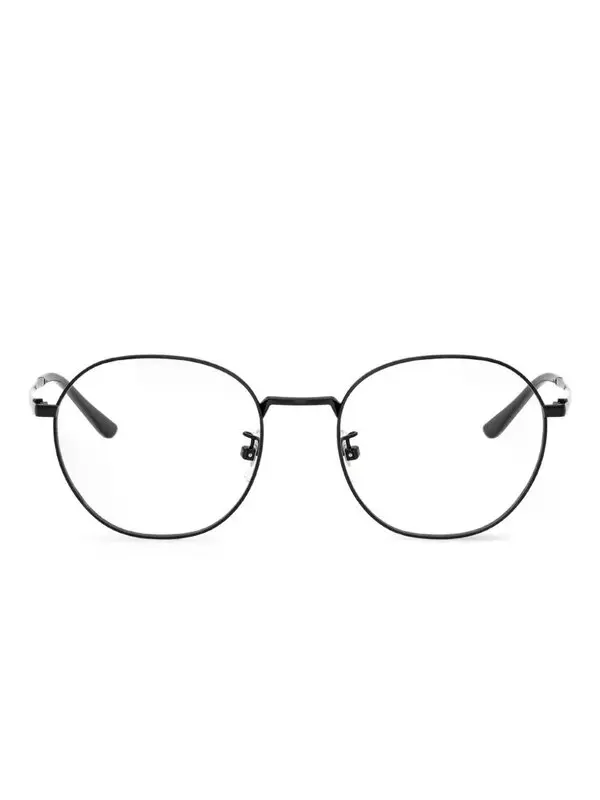 Ray-ban Oval-frame Glasses